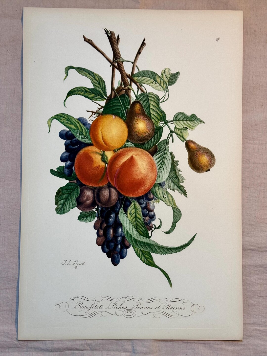 Jean Louis J. L. Prevost Hand-colored Engraving "rousfelets, Peches ...
