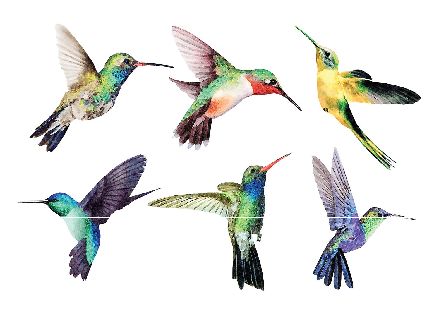 Hummingbird Clipart