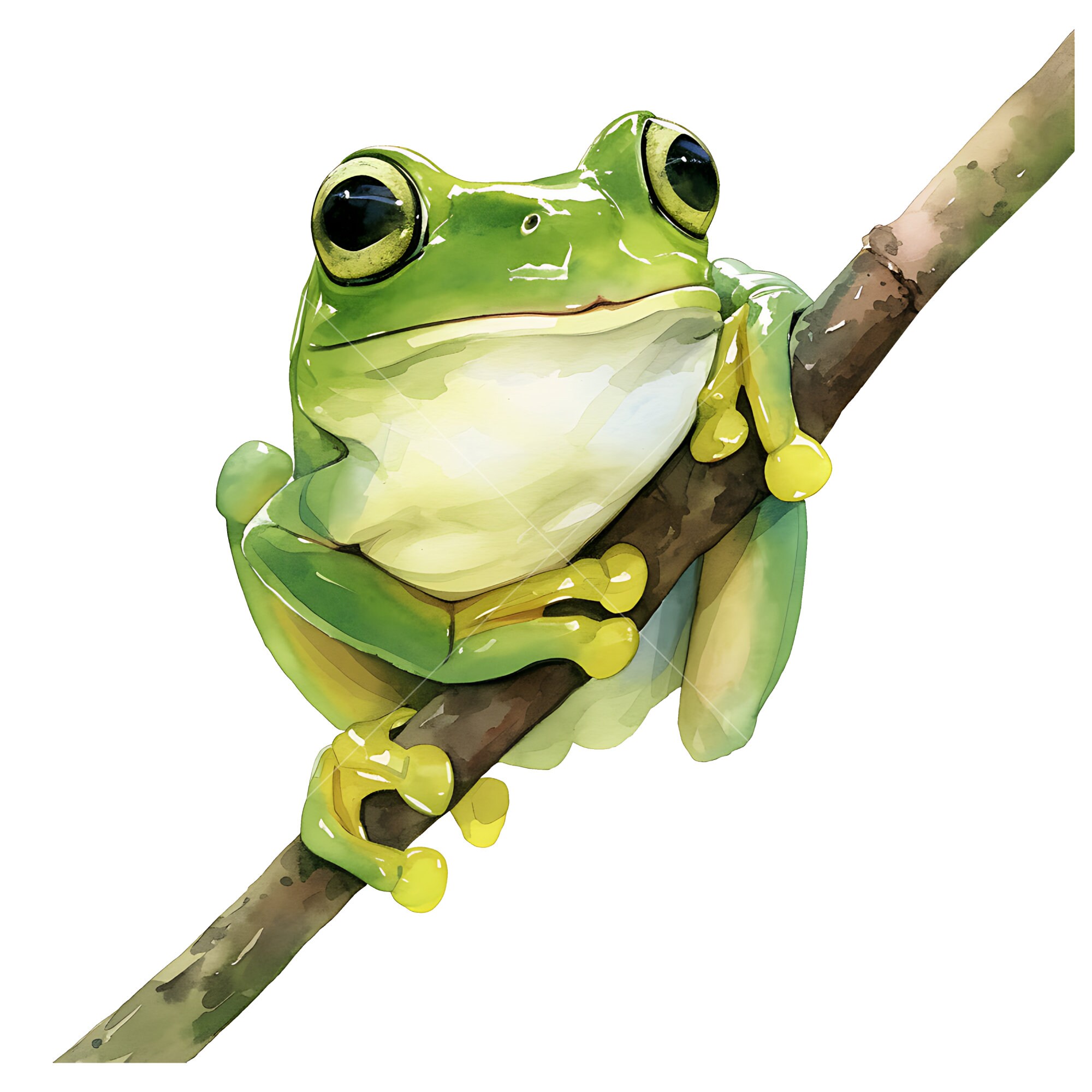Frog Clipart Watercolor Set, Transparent PNG, Commercial Use, Instant ...