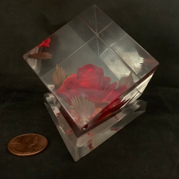 Embedded Lucite - Etsy