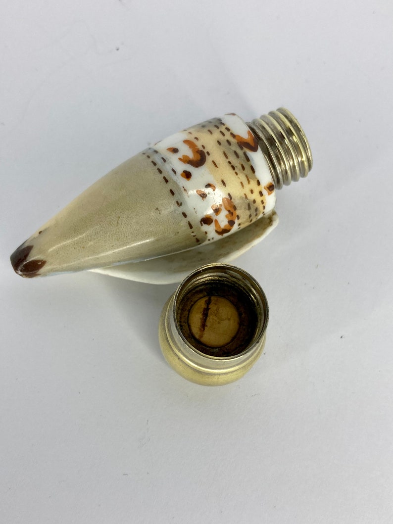 Antique Porcelain Shell Perfume Bottle Circa 1900s - Etsy