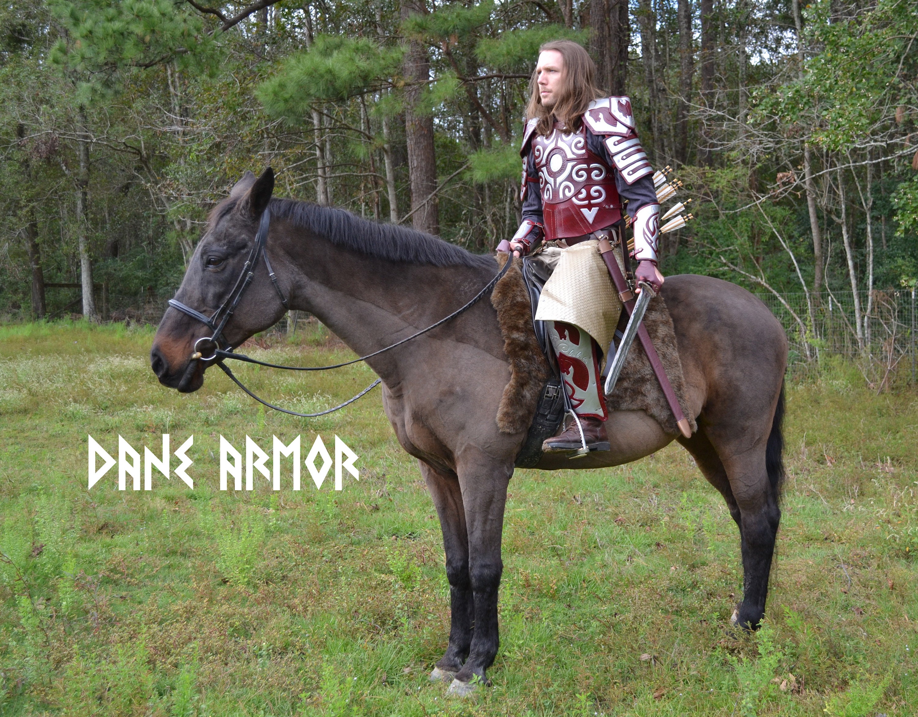 Eomer of Rohan Armor Leather Armor Lord of the Rings - Etsy
