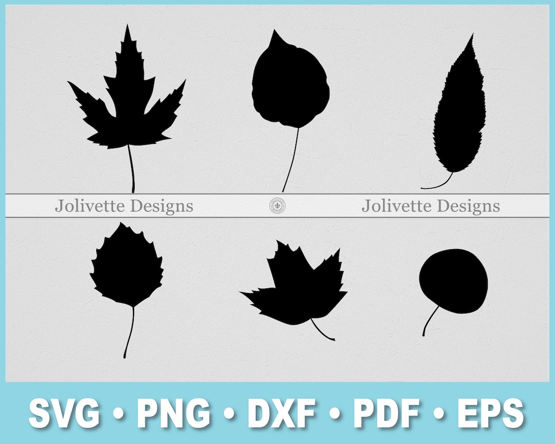 Fall Leaves, Leaves, Leaf, Thanksgiving, Clipart, Clip Art, Svg Files ...