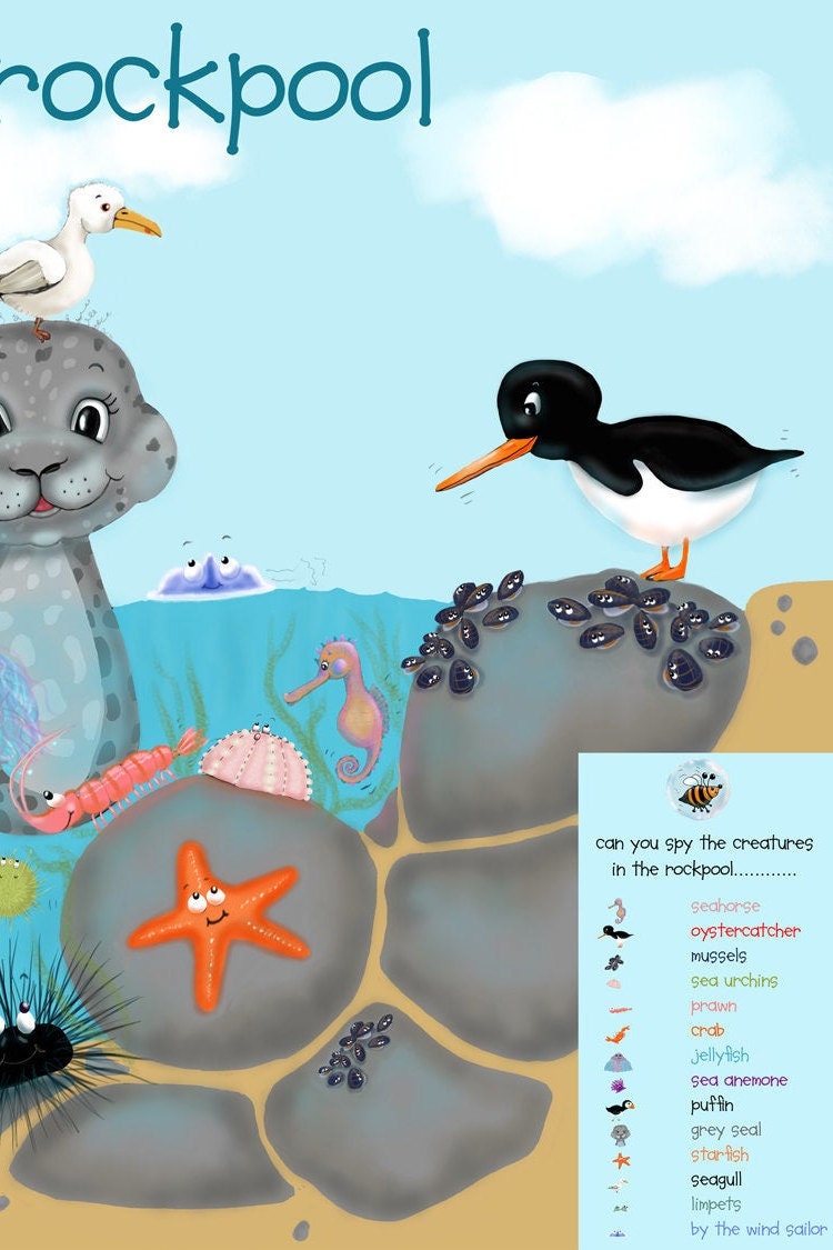 Rockpool a Fun Educational Print with key A2/A3 size high | Etsy