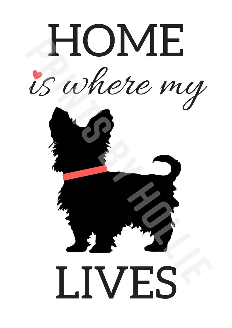 Yorkie Poster Download Instant Download Dog Digital Print | Etsy