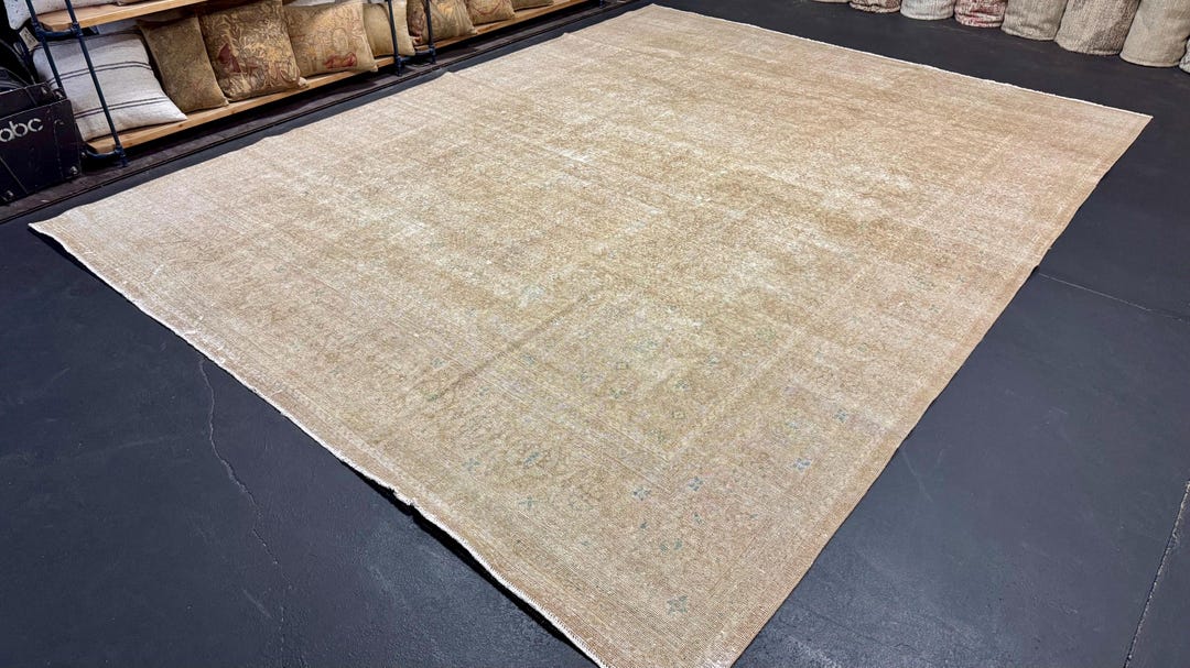 9’8 X 12’8 Classic Vintage Rug Muted Camel Beige, Sea Foam Green ...