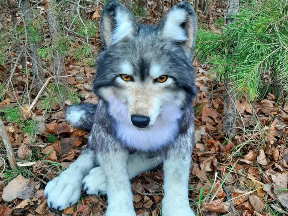 Personalized plush wolf stuffed toy Pet portrait plush natural | Etsy