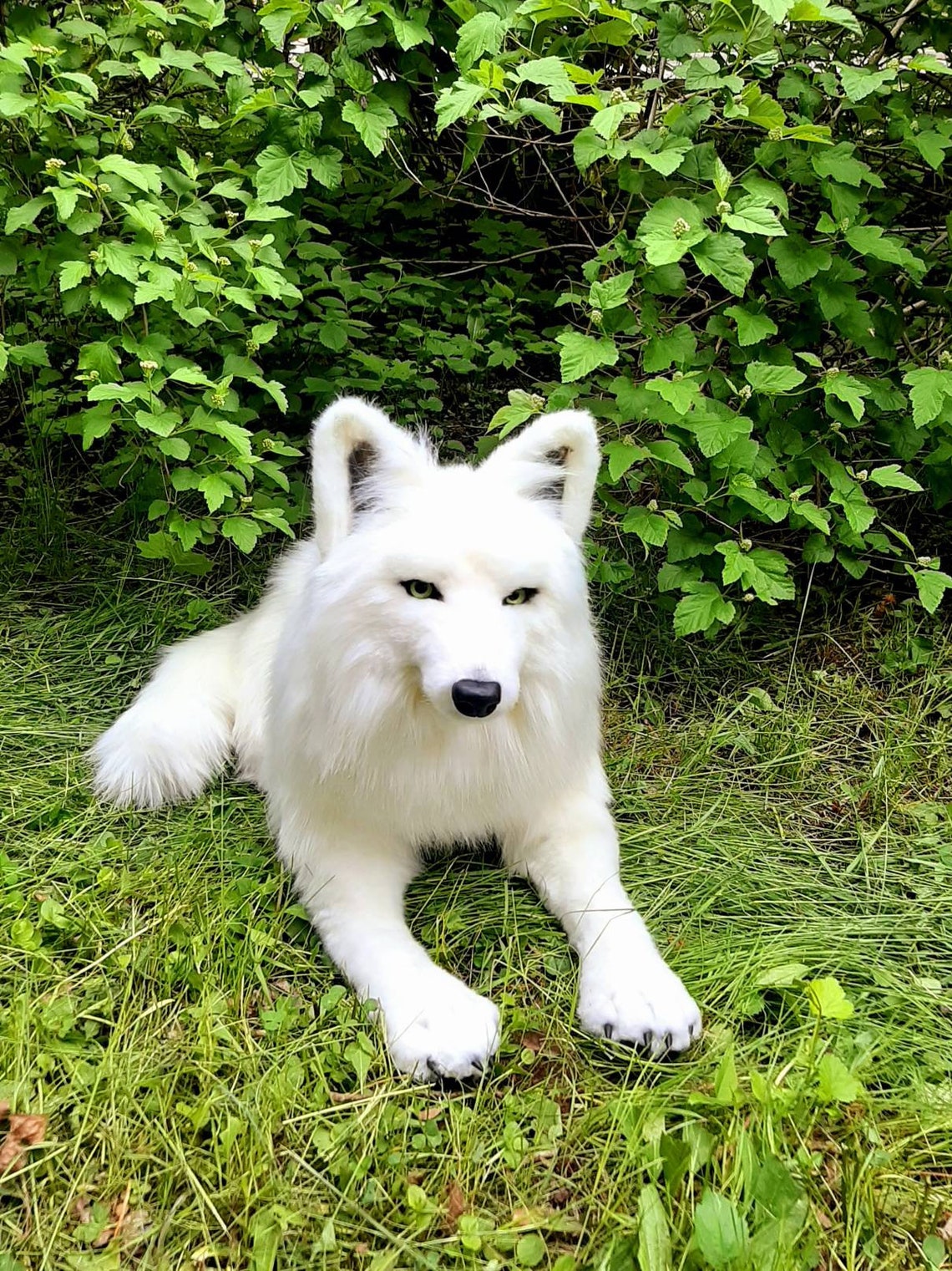 Realistic plush white wolf toy Collectible pet toy Replica for | Etsy
