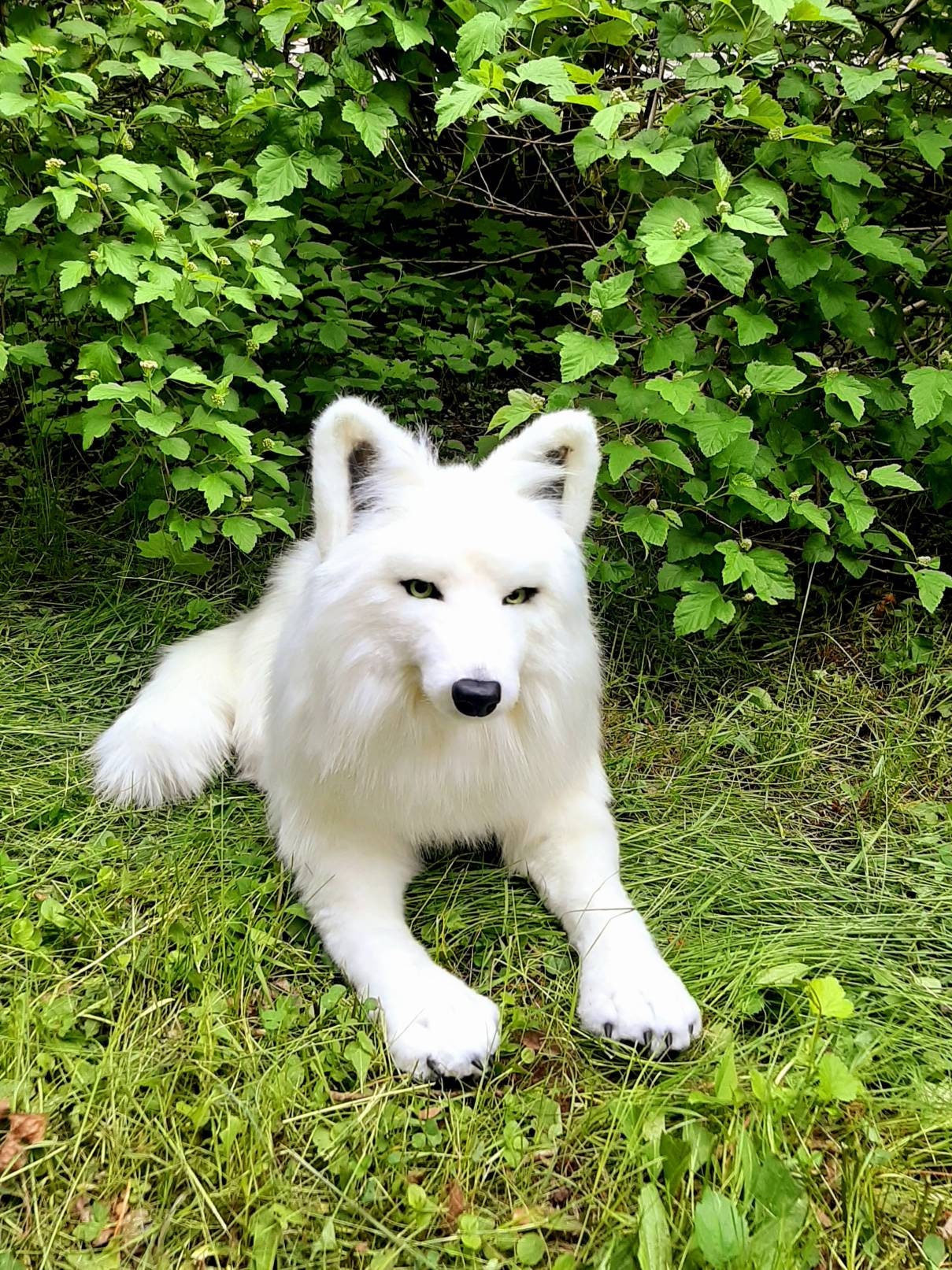 Realistic plush white wolf toy Collectible pet toy Replica for | Etsy