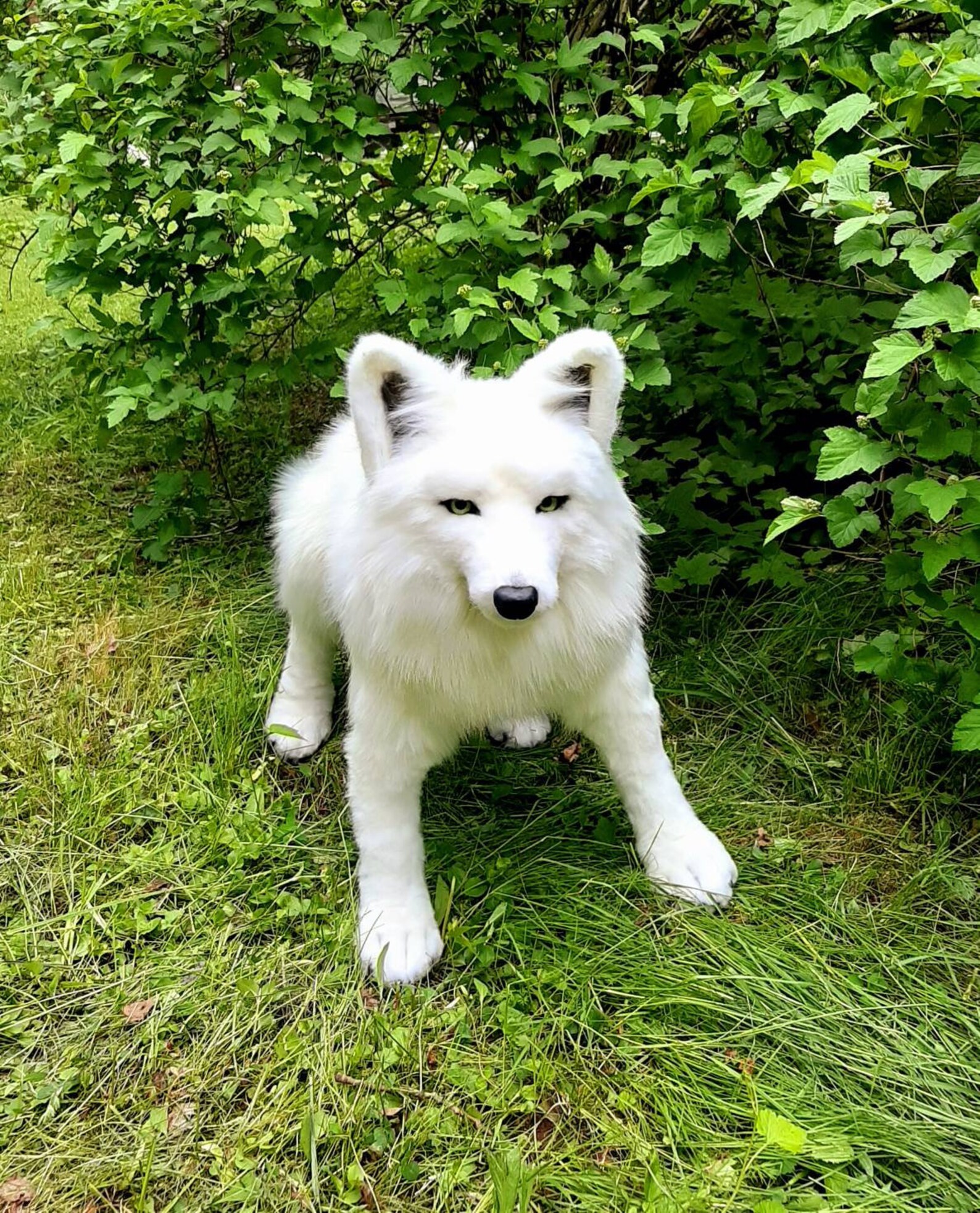 Realistic plush white wolf toy Collectible pet toy Replica for | Etsy