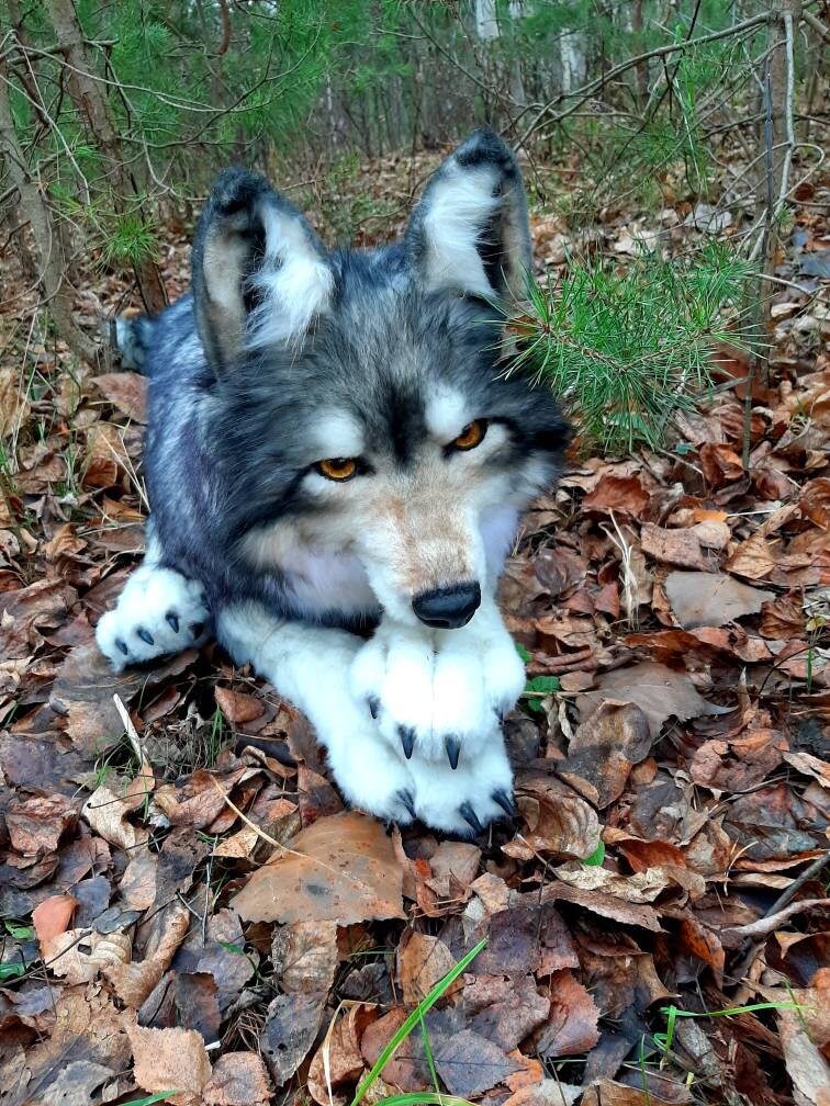 Personalized plush wolf stuffed toy Pet portrait plush natural | Etsy
