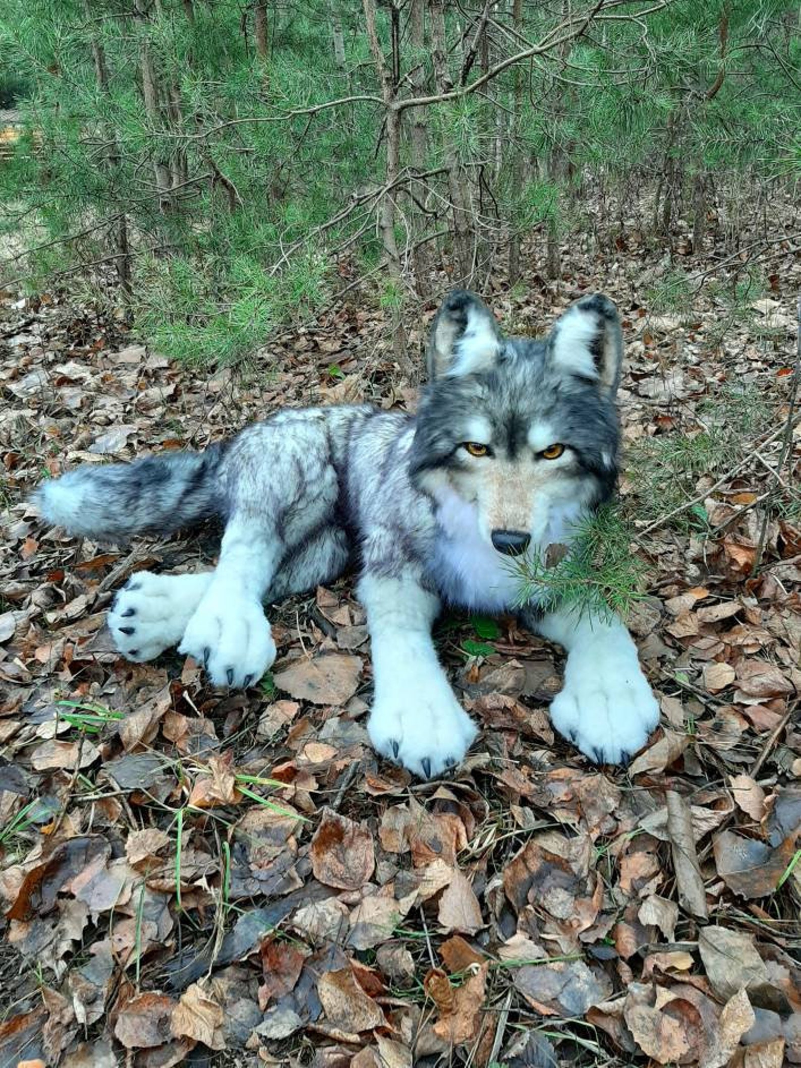 Personalized plush wolf stuffed toy Pet portrait plush natural | Etsy