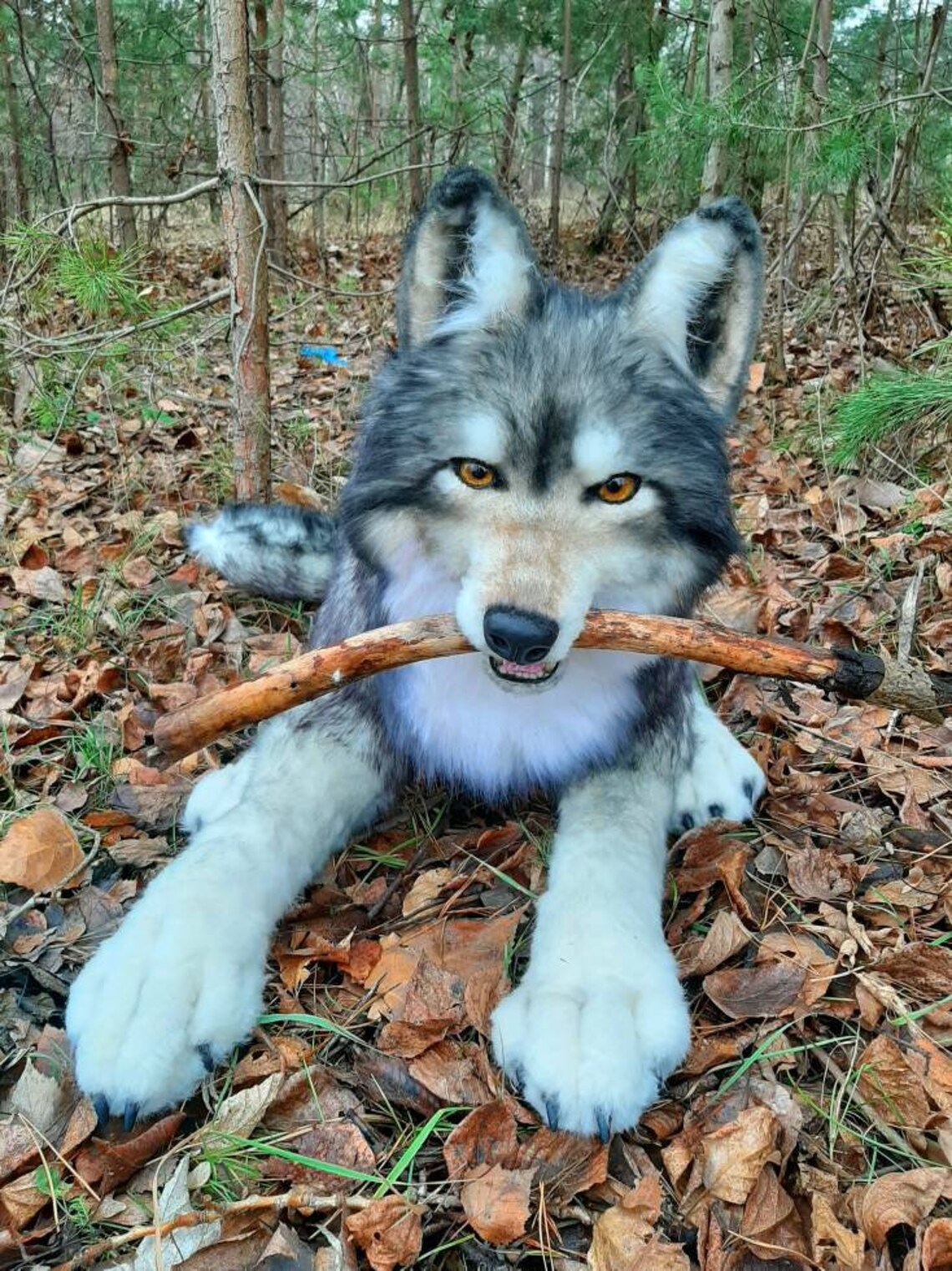 Personalized plush wolf stuffed toy Pet portrait plush natural | Etsy