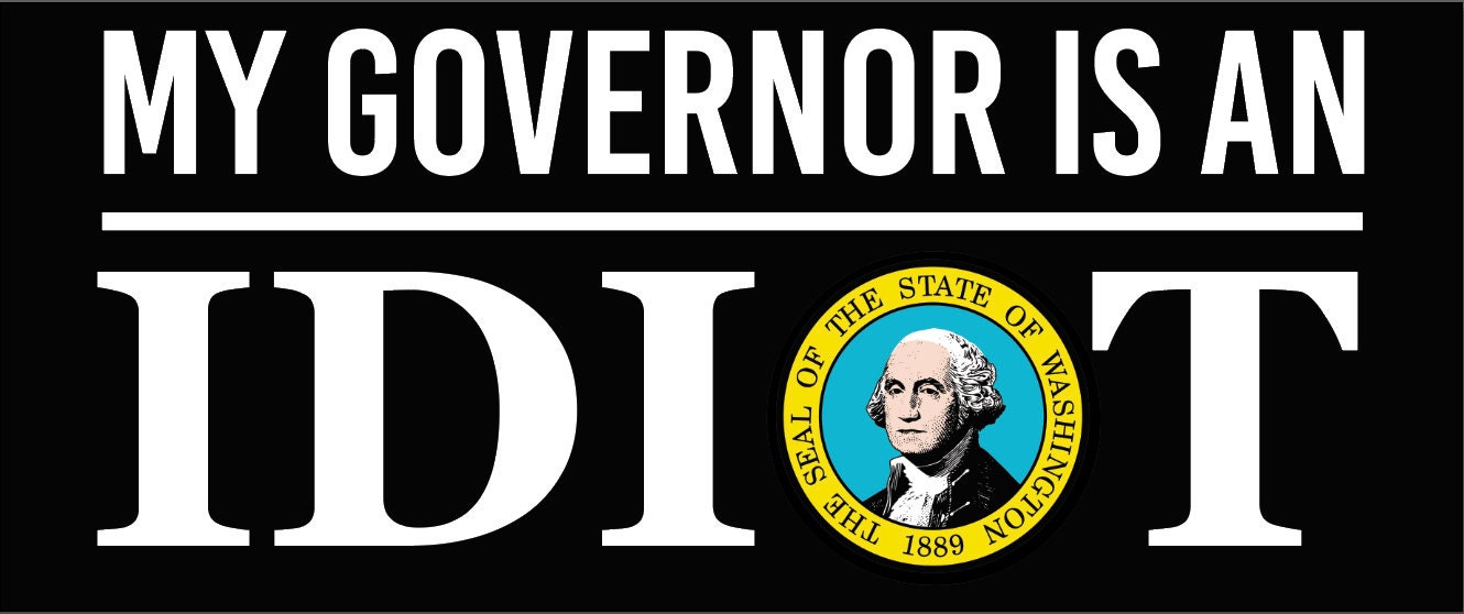 My governor is an idiot BUMPER sticker WA | Etsy