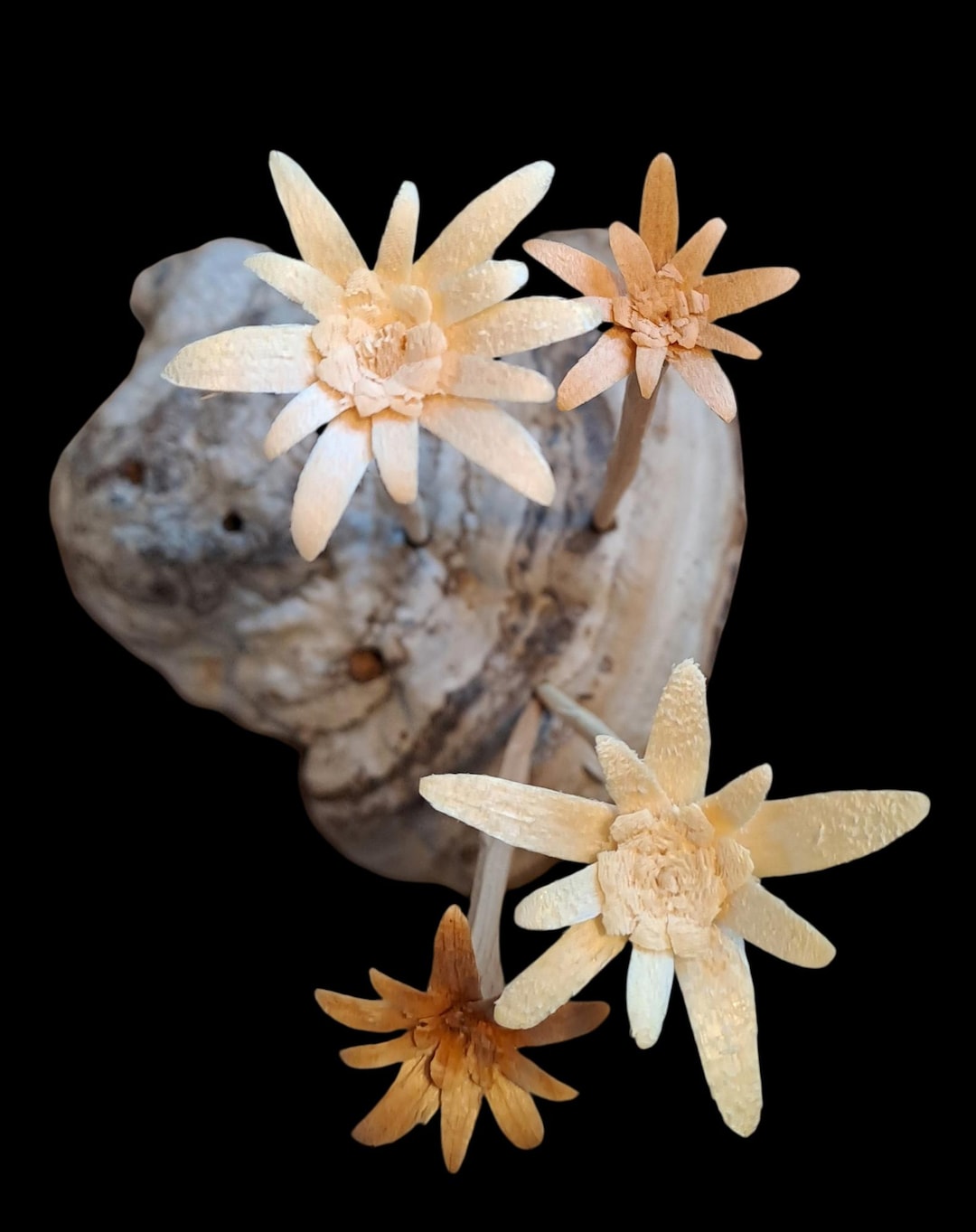 Edelweiss Dried Flower Arrangement - Etsy