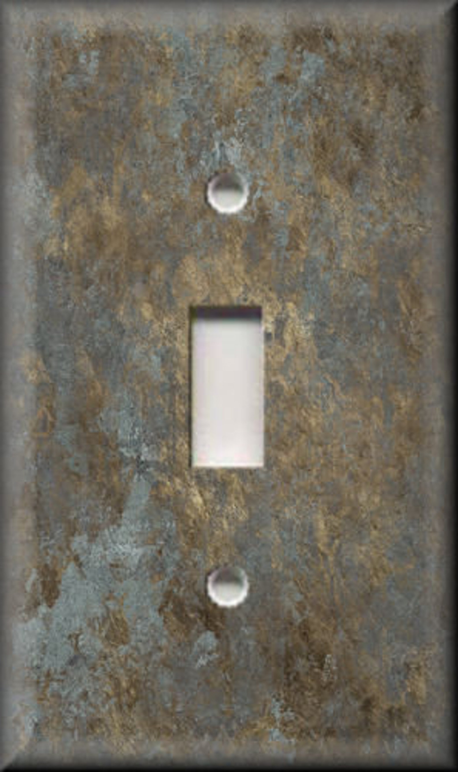 Metal Light Switch Plate Cover Image of Aged Silver Gold - Etsy