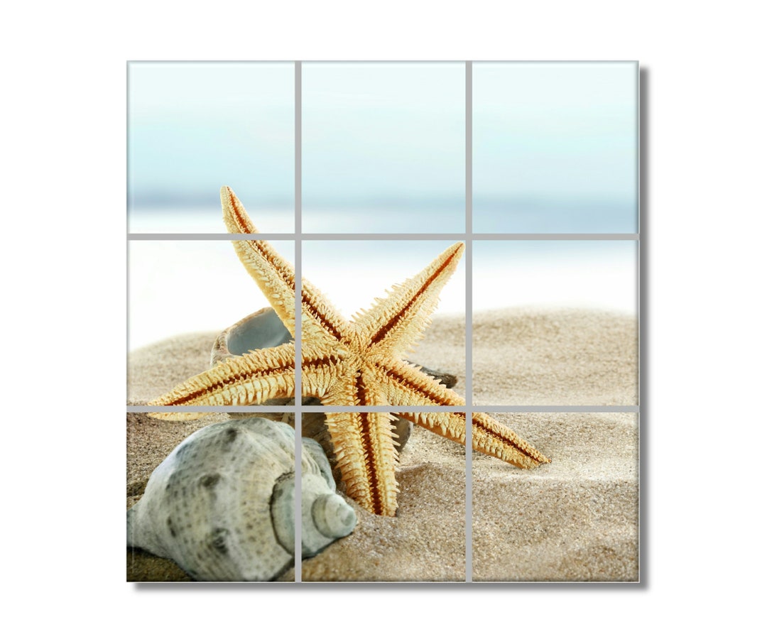 Ceramic Tile Mural - Tile Mural Beach Shells Ocean Design Tile Mural 12 ...