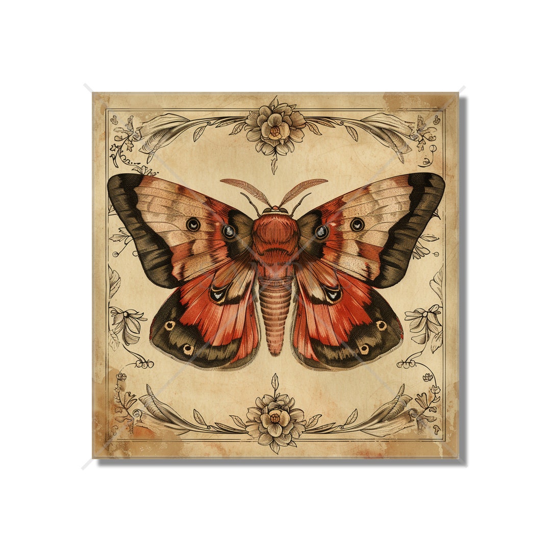 Vintage Botanical Moth Design Ceramic Tile - Kitchen Backsplash Tile ...