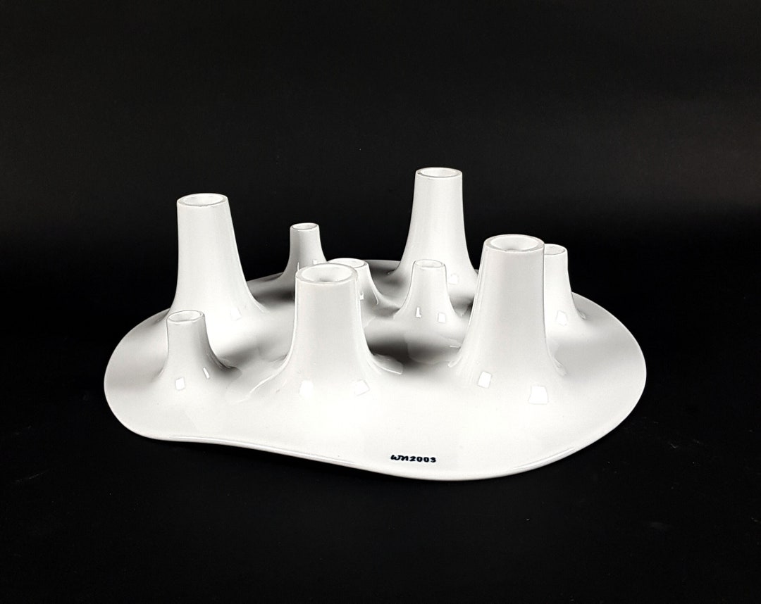 Dutch Design Willem Noyons fruit En Fire' - Etsy