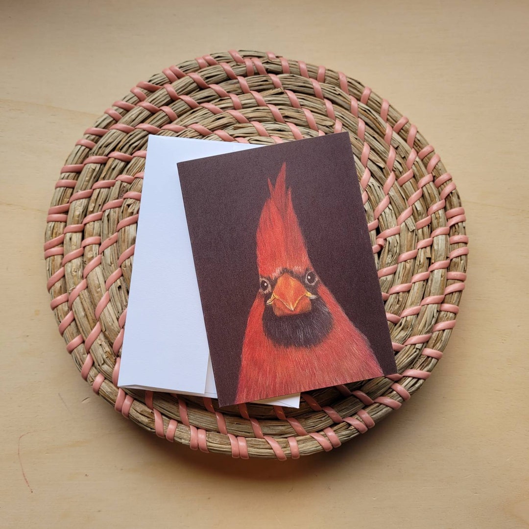 Cardinal Note Cards Blank Note Cards Red Bird Cards Thank You Notes Box ...