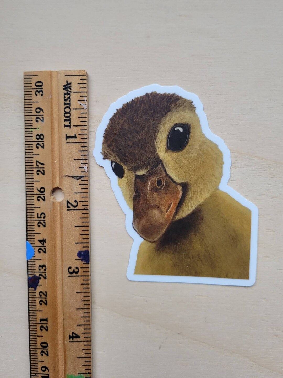 Baby Duck Sticker Water Resistant Duck Laptop Sticker Water Bottle ...