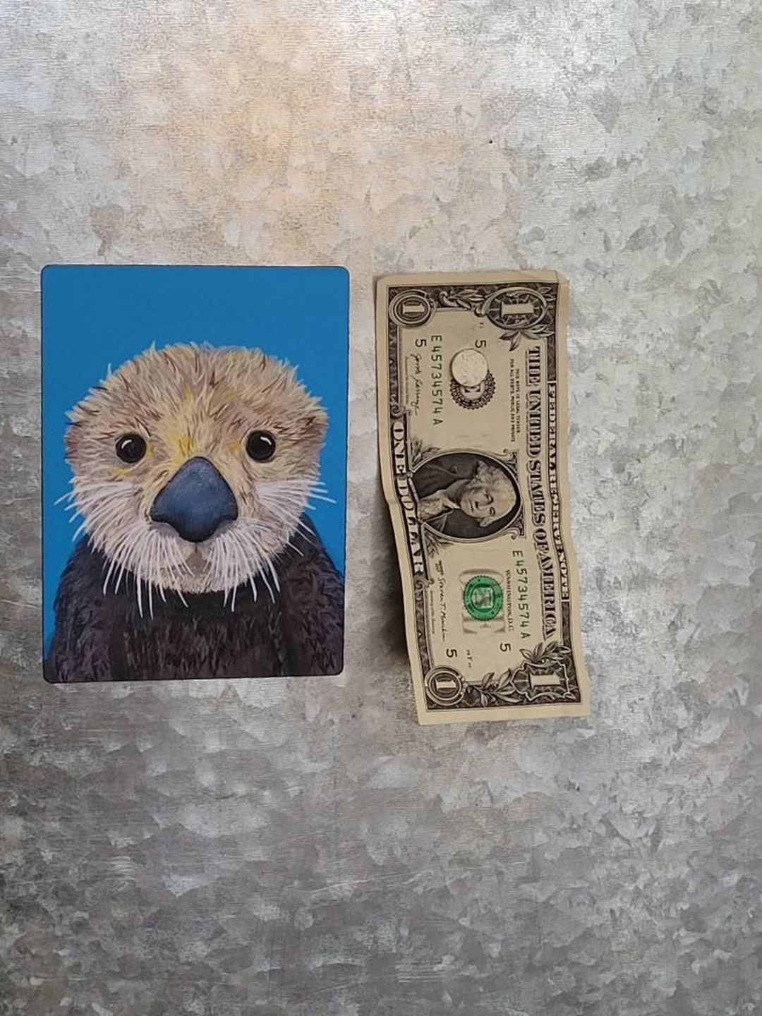 Otter Refrigerator Magnet Fridge Magnet Kitchen Art Animal Lover Large ...