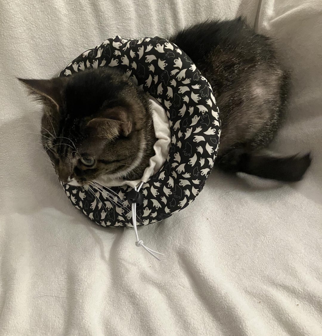 Cat Recovery Collar for Wound Healing. Adjustable Mini Ghosts on Black Fabric Cat Collar to Stop ...