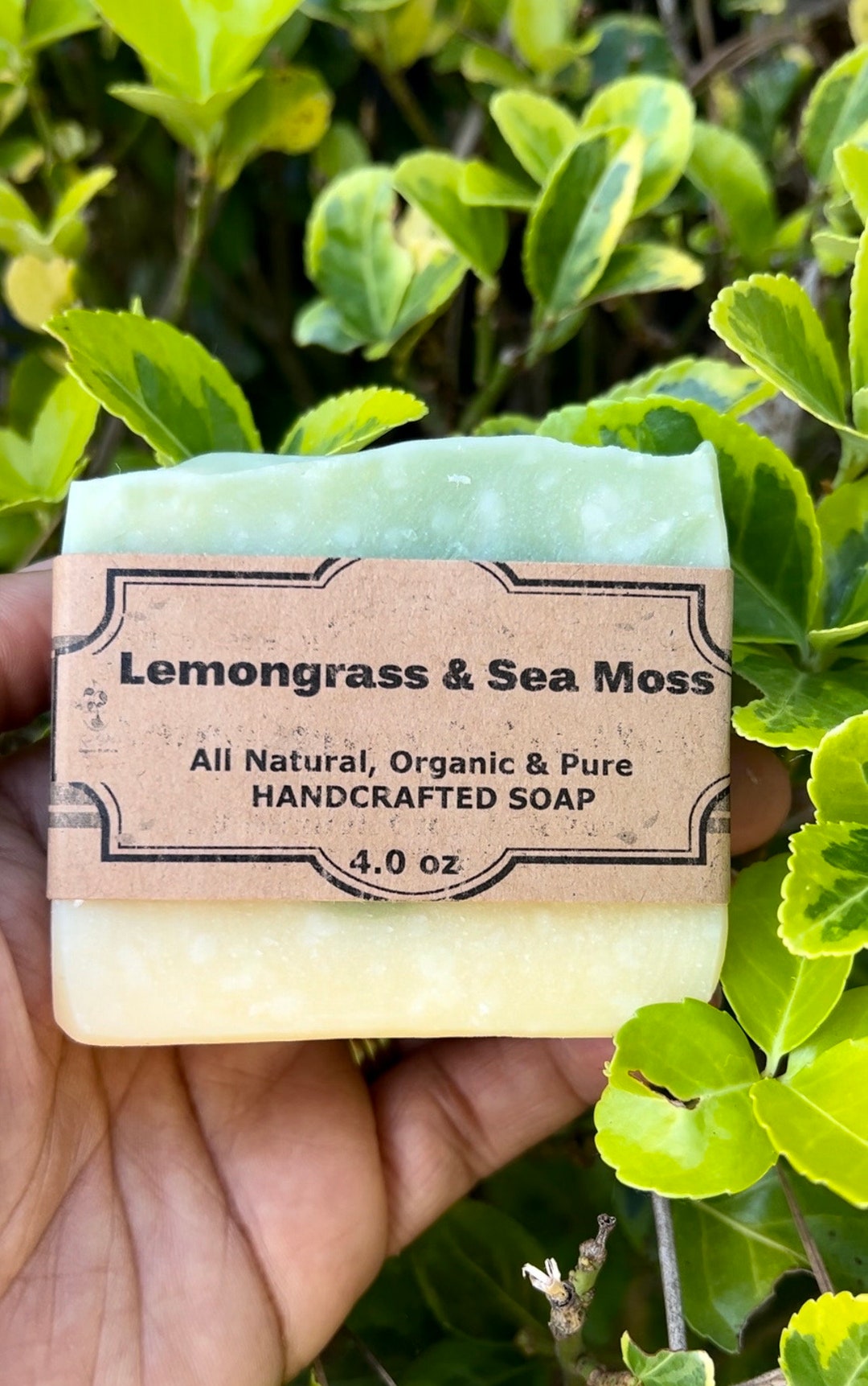 Lemongrass and Sea Moss Bar Soap - Etsy