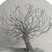 Golden Wire Tree Sculpture With Flowers - Etsy