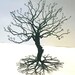 Spring Green Twisted Wire Tree Sculpture - Etsy