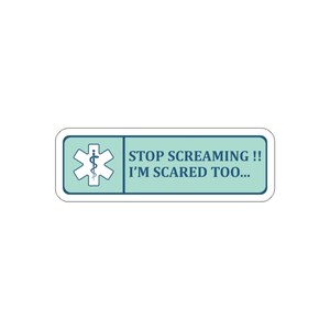 Funny Nursing Sticker, Nurse Gift, Nurse Sticker Stop Screaming I'm ...