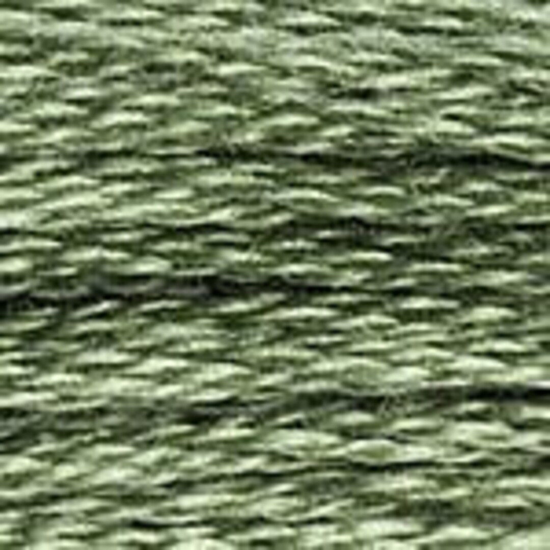 DMC Floss Color 3363 "medium Pine Green" Embroidery Floss 2 Skeins, 6 ...