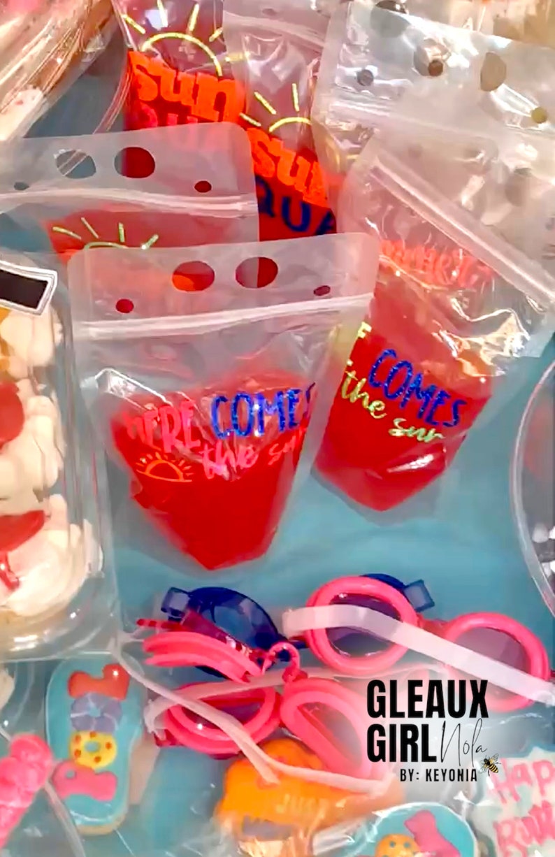 Reusable Drink Pouch With Straw, Party Favor Drink Pouches ...