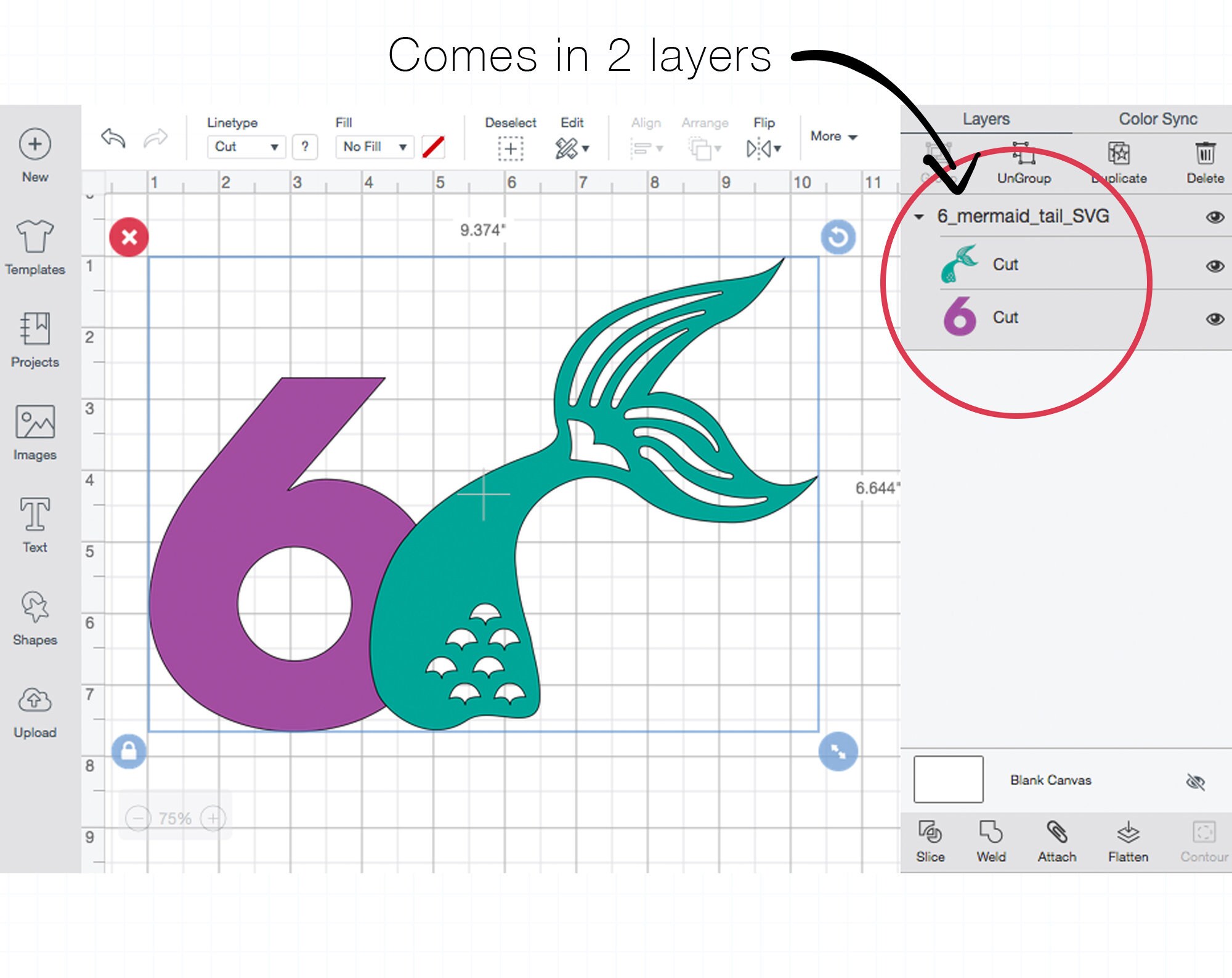 Mermaid Tail SVG Cake Topper With Birthday Number 1 2 3 4 | Etsy