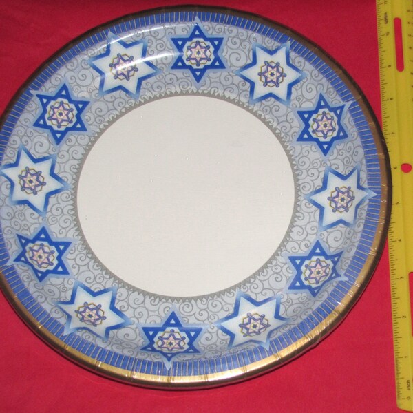 Passover Plate - Etsy