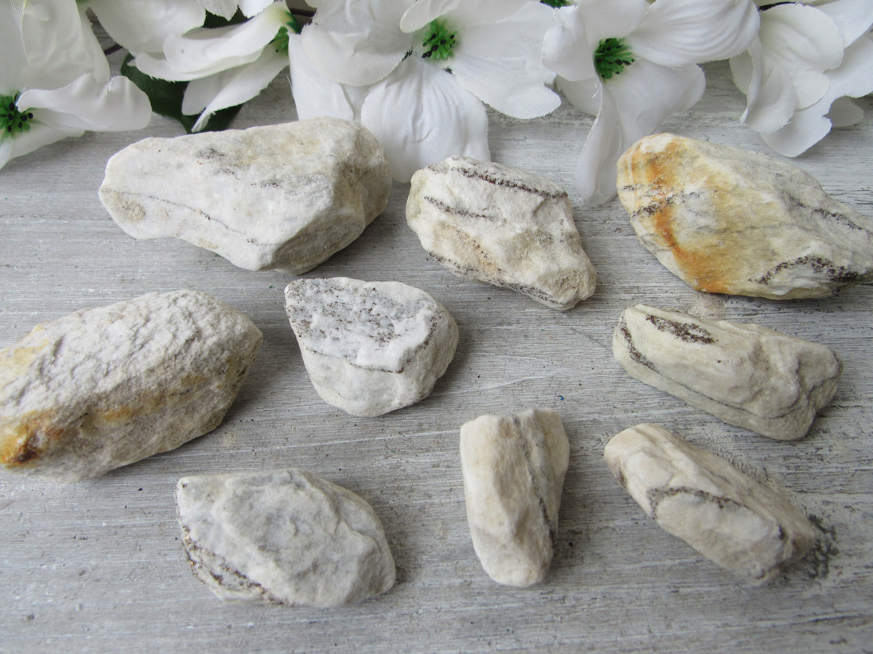 Sedimentary Rocks Dolomite