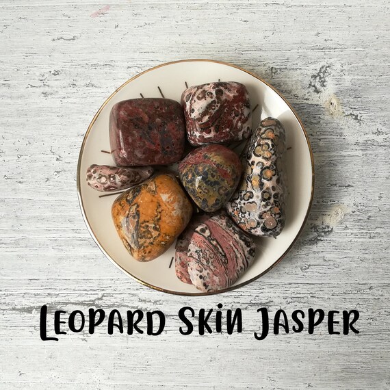 Leopard Skin Jasper Tumbled Stone Tumbled Stones | Etsy