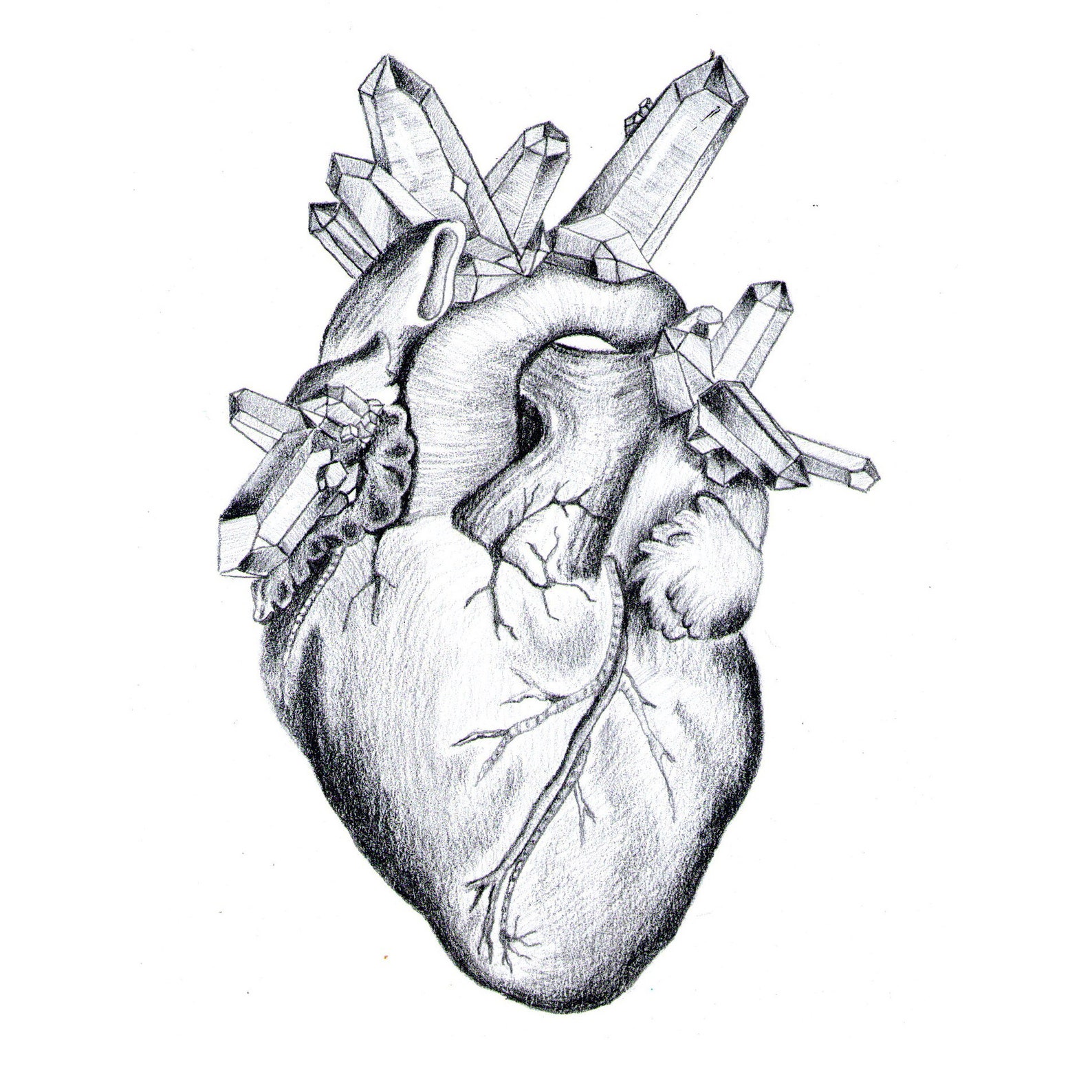 Magpie Heart Thief Jewelry Bird Necklace Crystal Heart - Etsy