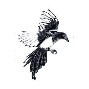 Magpie Heart Thief Jewelry, Bird Necklace, Crystal Heart Anatomic ...