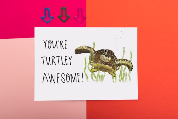 You're Turtley Awesome Hand Made Greeting Love Valentines | Etsy
