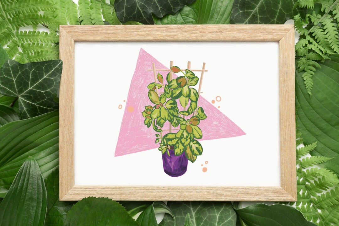 Hoya, Digital Drawing, A4 A5 Print Botanical Houseplant, Plant Home ...