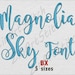 Magnolia Sky Embroidery Font Machine Embroidery Design Punctuations and ...