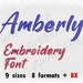Amberly Embroidery Font Machine Embroidery Design Punctuations and ...