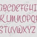 Pink Flamingo Embroidery Font, Machine Embroidery Design, Instant ...