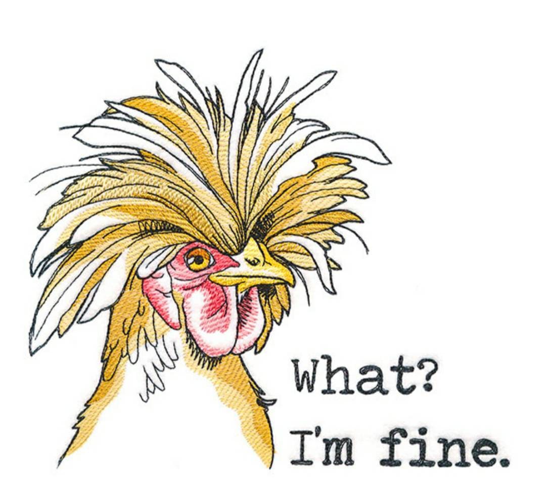 Custom Embroidered Stressed Chicken Set of 2 Kitchen Dish Towels - Etsy