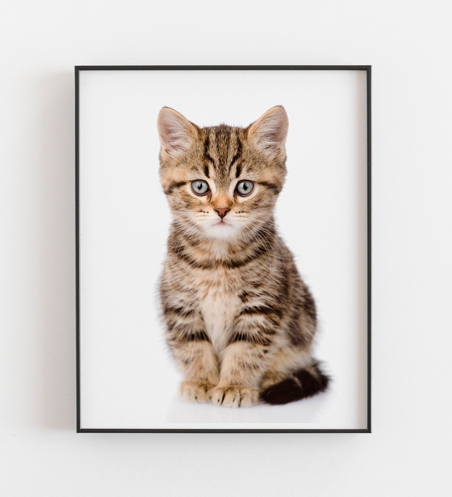 Katze Poster süße Katze Druck Katze Wandkunst Katze | Etsy