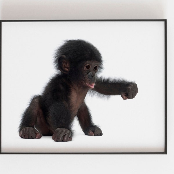 Baby Chimp - Etsy