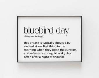 Bluebird Definition - Etsy