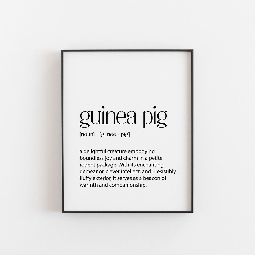 Guinea Pig Definition Typography Print for Animal Lovers, Guinea Pig ...