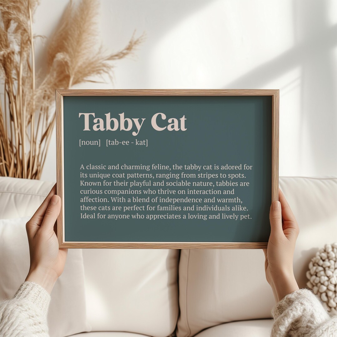 Tabby Cat Definition Print – Unique Cat Lover Gift – Tabbies Explained ...